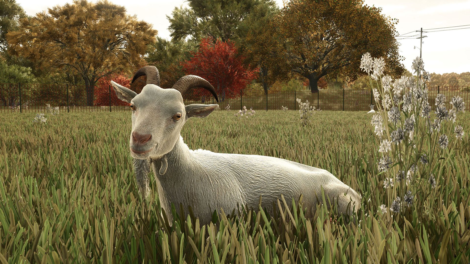 FS25: Goats and water buffaloes as profit generators | GPORTAL