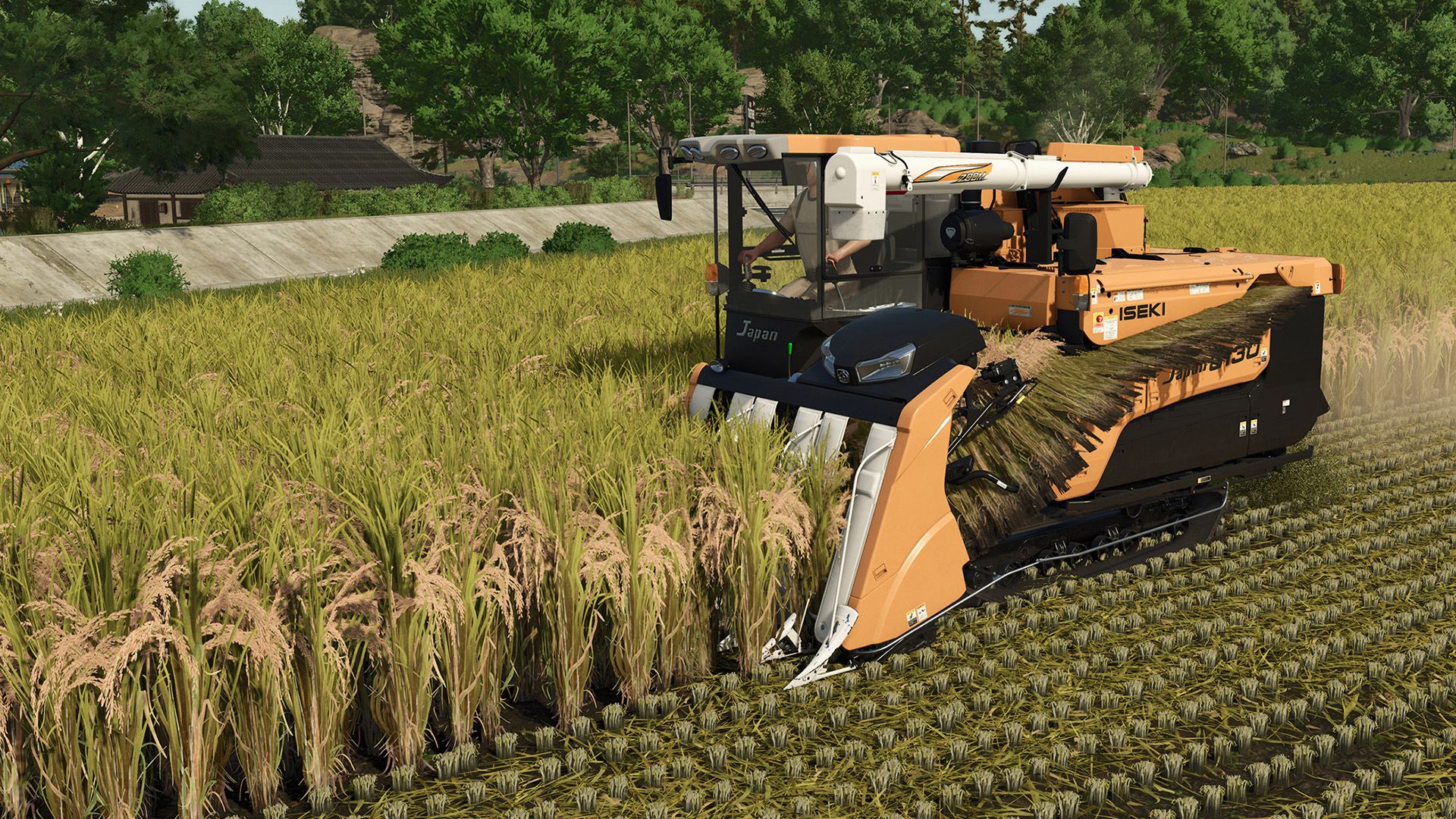 Guide: Farming Simulator 25 rice farming | GPORTAL