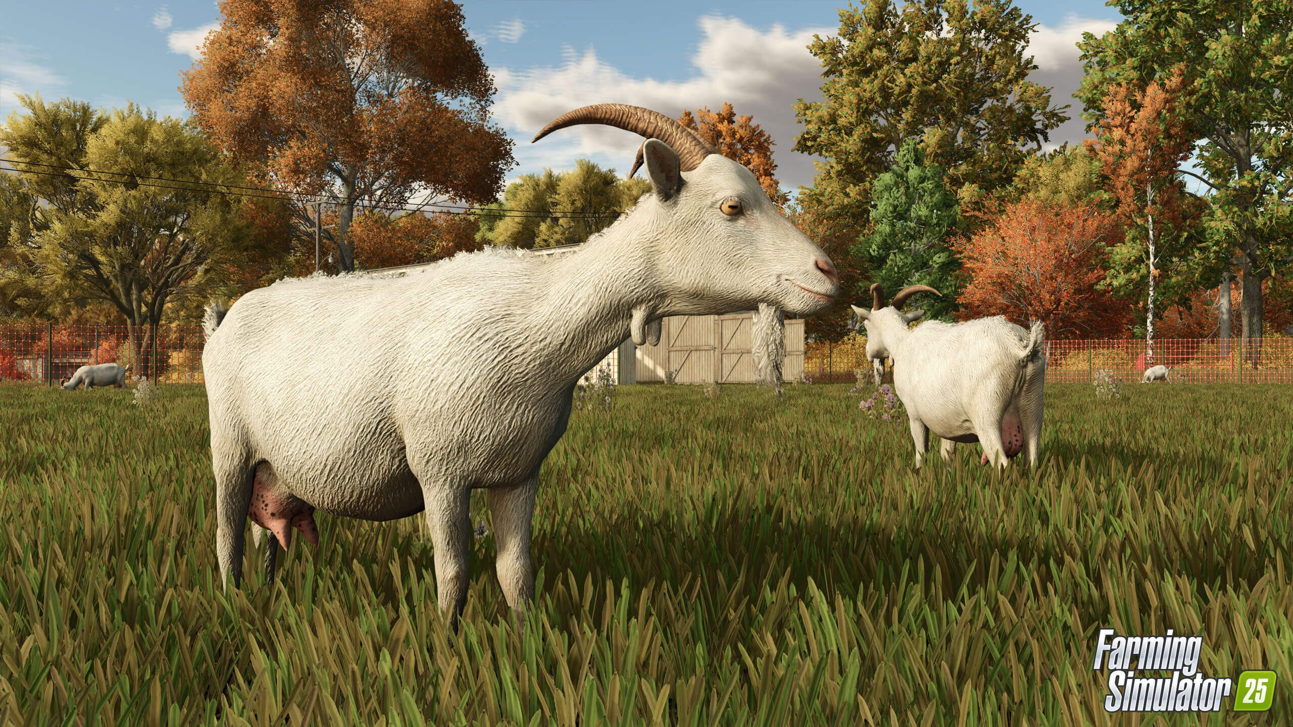 Farming Simulator 25 - A look at the animals on the farm