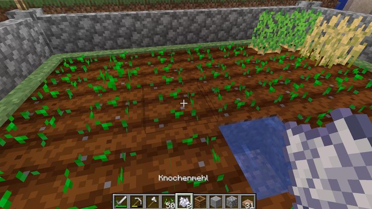 Minecraft Composter | GPORTAL