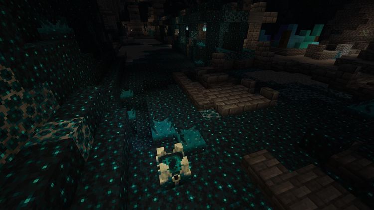Das Deep Dark Biom in Minecraft | GPORTAL