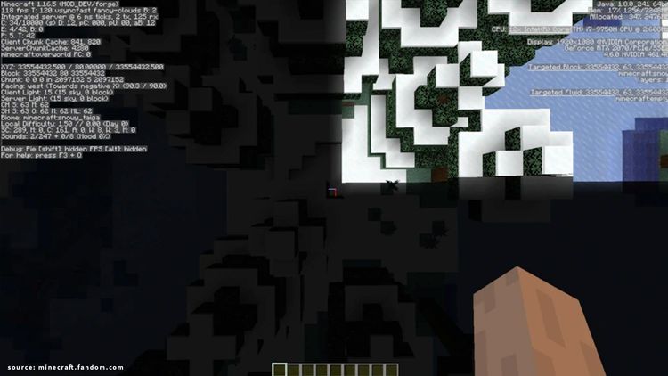The borders of the Minecraft world | GPORTAL