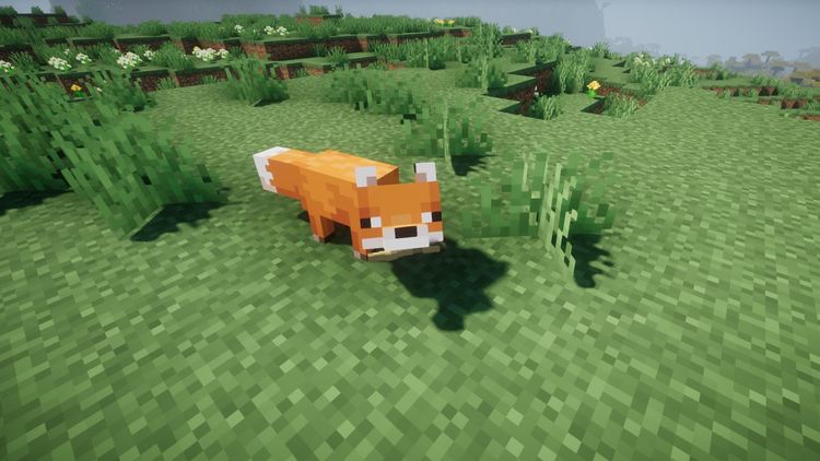 Foxes in Minecraft | GPORTAL