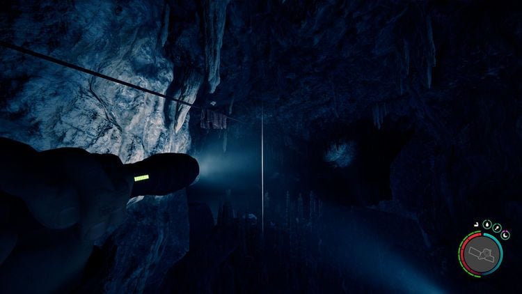 Sons of the Forest: Caves Guide and Overview | GPORTAL