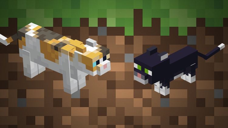 Katzen in Minecraft | GPORTAL