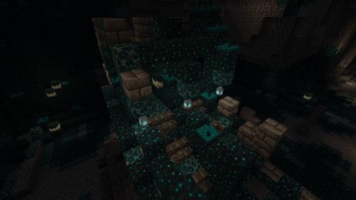 The Deep Dark Biome in Minecraft | GPORTAL