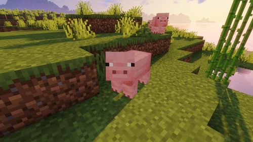 Minecraft Animals | GPORTAL