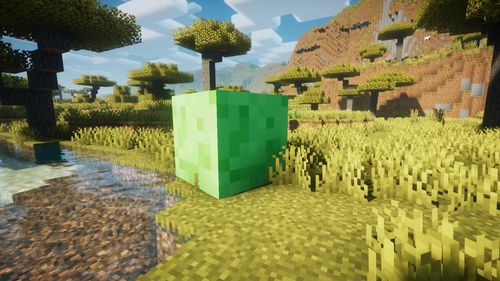 Why is everybody in Minecraft searching for Slime Chunks? | GPORTAL