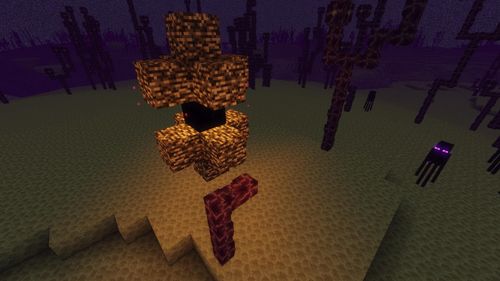 „Das Ende“ in Minecraft | GPORTAL