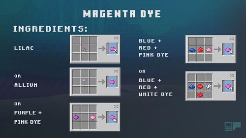 Dye in Minecraft | GPORTAL