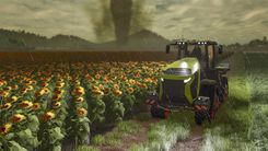 The best crops in FS25 | GPORTAL