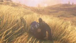 Die Valheim Biome – eine Übersicht | GPORTAL